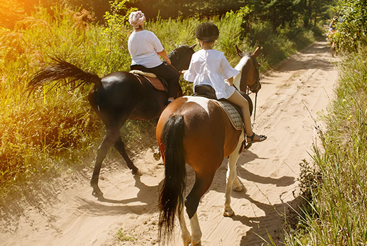 Public Sector Planning - Brevard County Hiking and Equestrian Trails ...