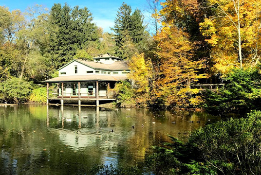 Cultural Attraction - Campus Master Plan | Perry Becker Design